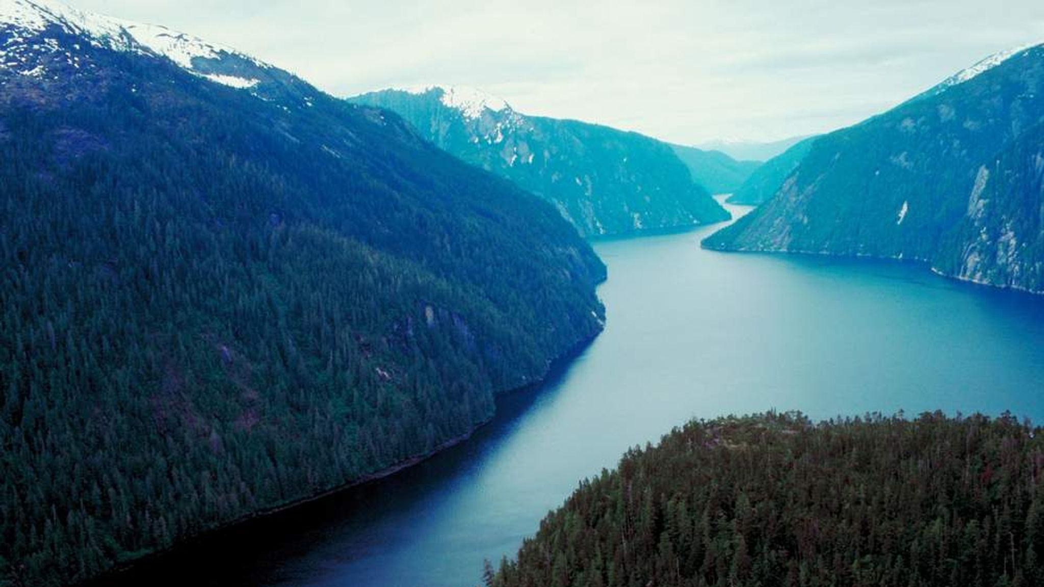 Nine Killed In Alaska Sightseeing Plane Crash | US News | Sky News