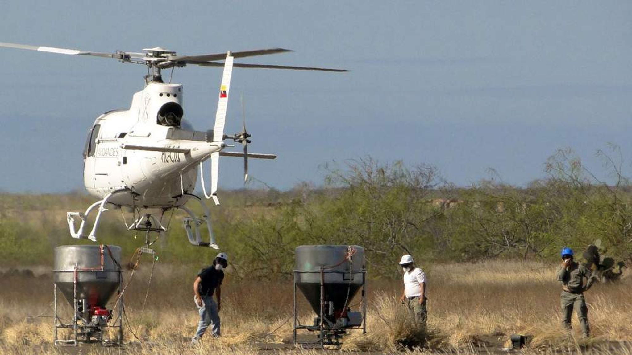 Rat Massacre: Galapagos Islands To Kill Millions | World News | Sky News