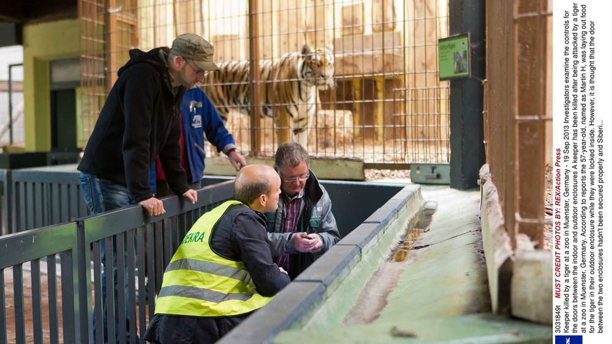 Tiger Keeper Killed By Bite To The Neck | World News | Sky News