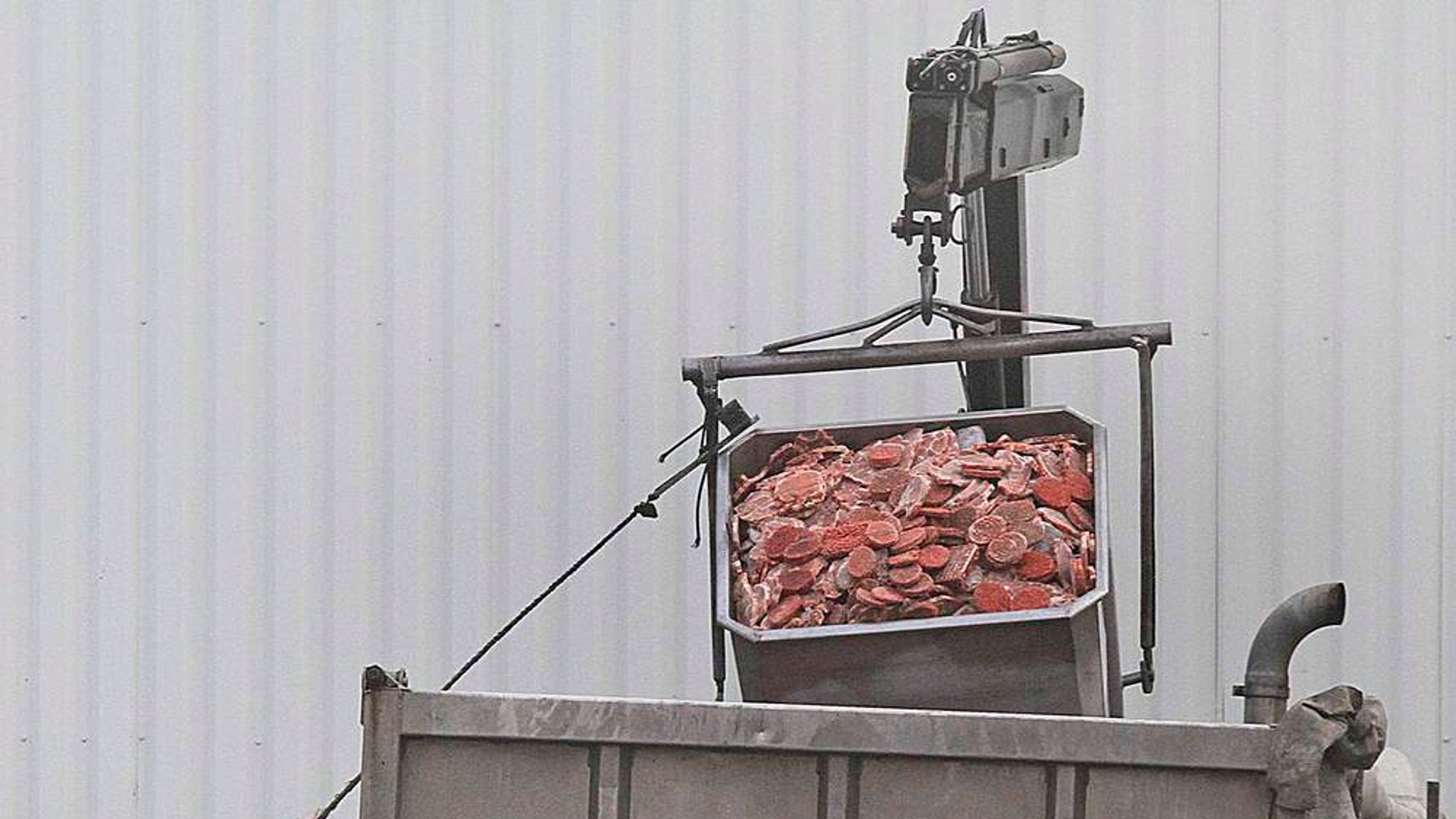 Horsemeat Scandal: Spanghero Is Renamed | Money News | Sky News