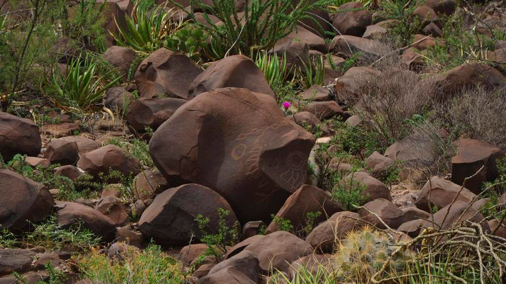 Prehistoric Rock Art Discovered In Mexico | UK News | Sky News