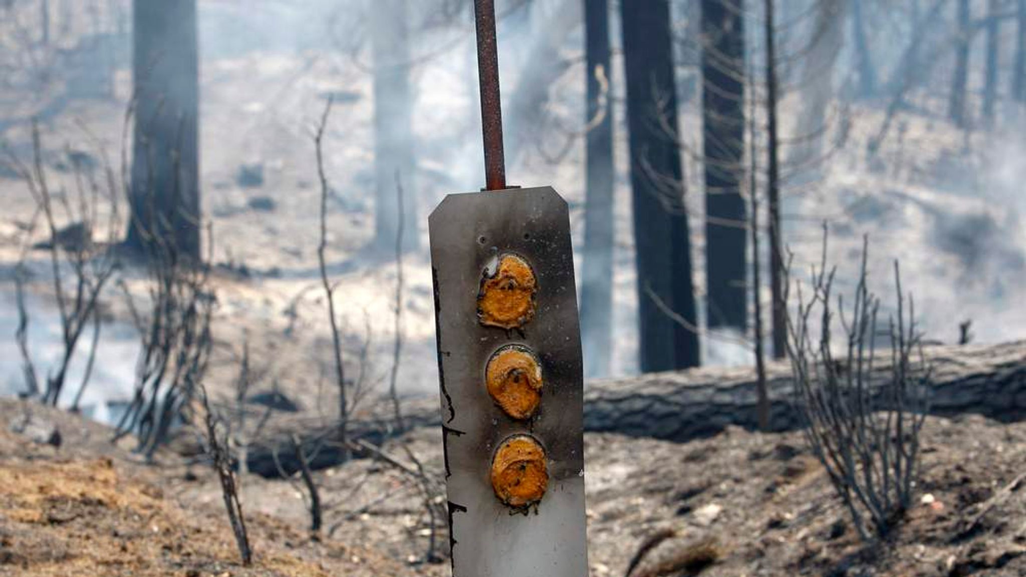 Yosemite Fire: Fire Crews Make 'Major Progress' | US News | Sky News