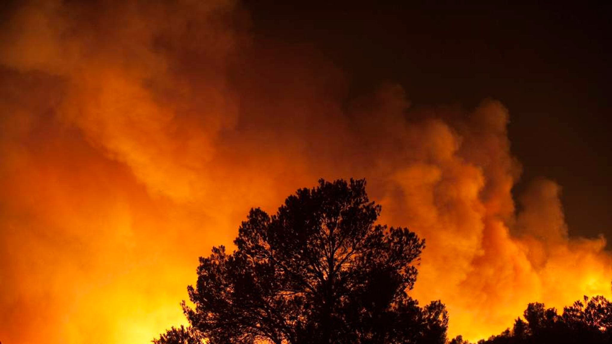 Spanish Forest Fires: Thousands Flee Homes | World News | Sky News