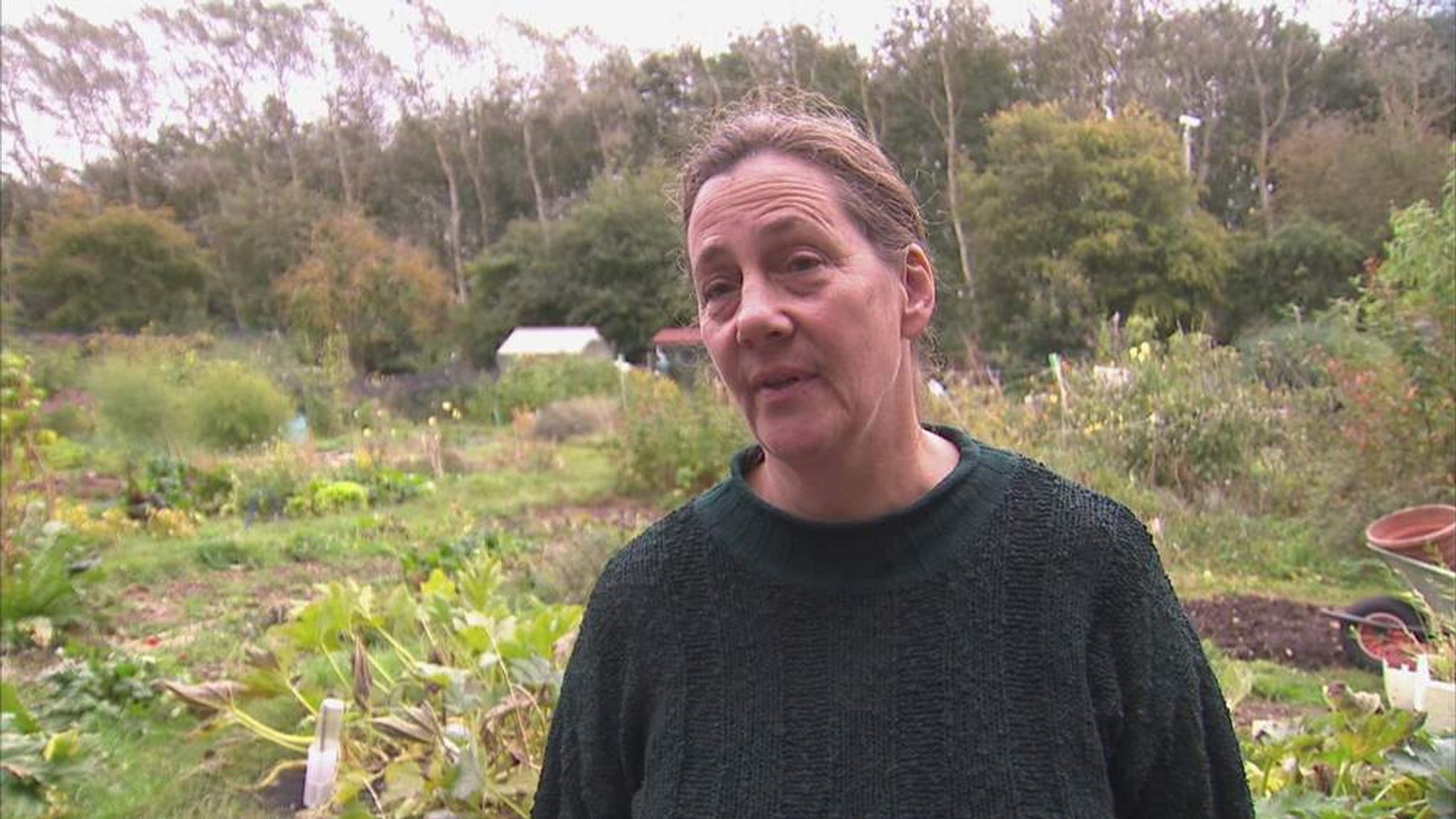 Gardeners Blamed For Spreading Potato Blight | UK News | Sky News