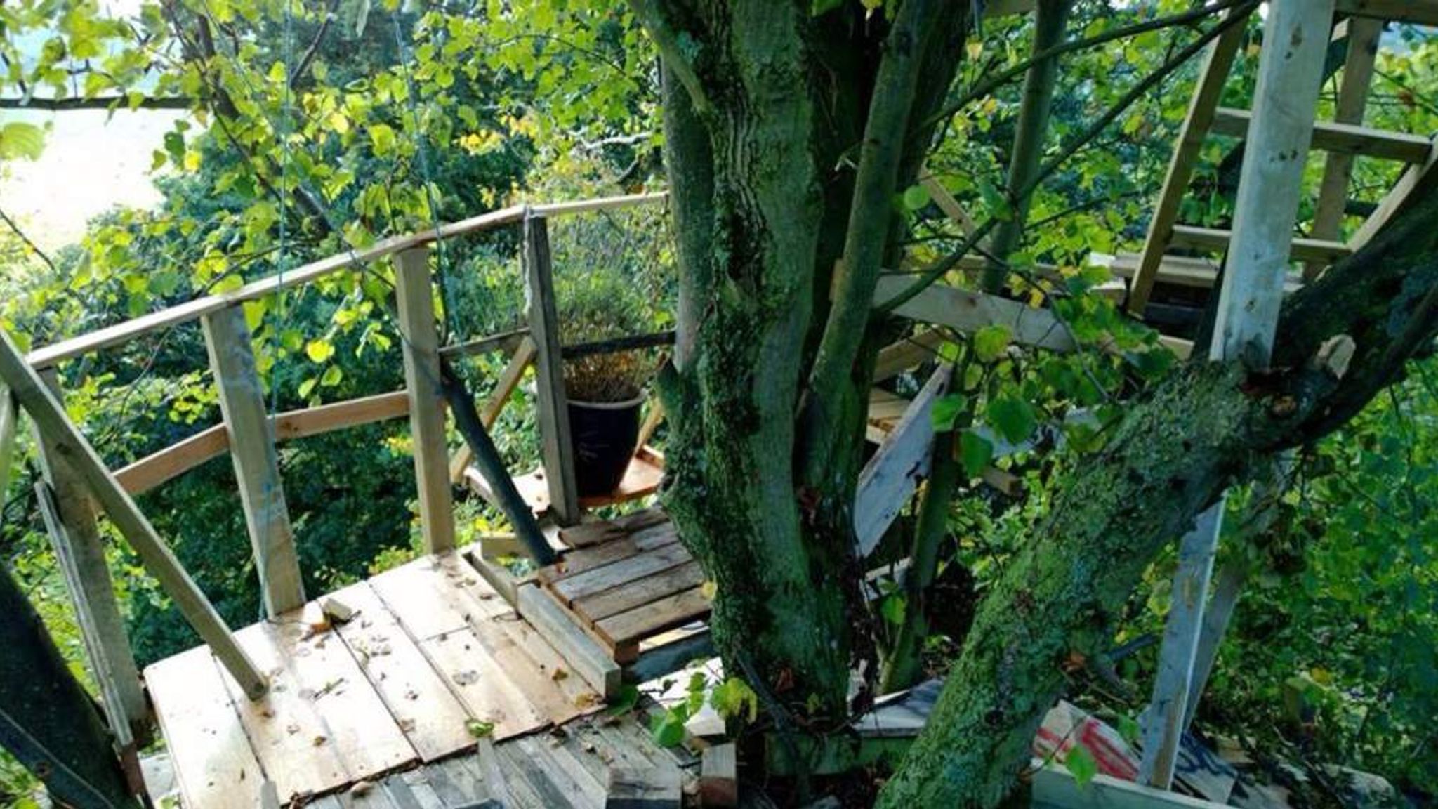 Treehouse Built 25m Above Ground Faces Chop | UK News | Sky News