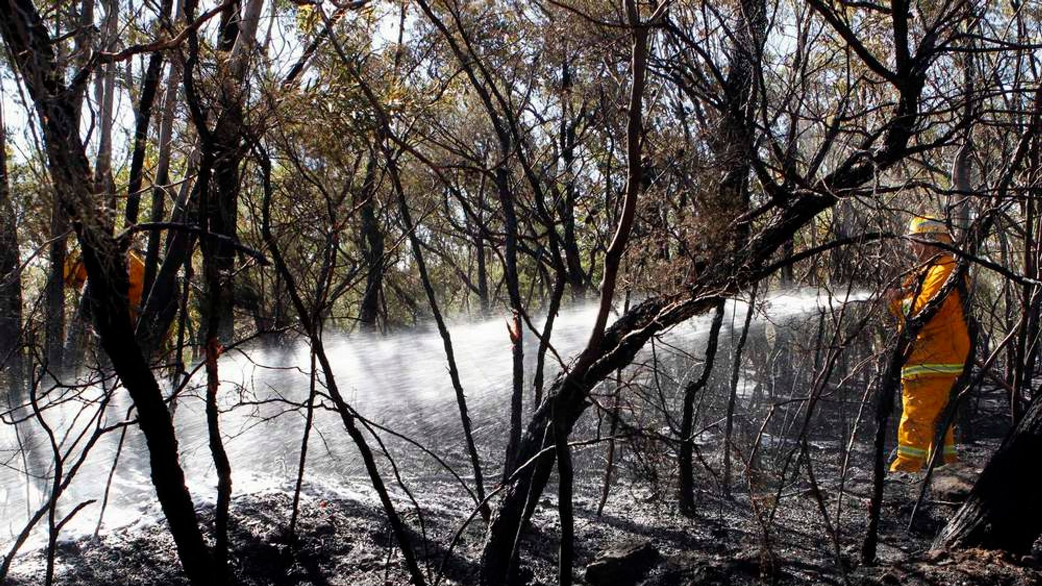 Australian Pilots Die Fighting Bushfires | World News | Sky News