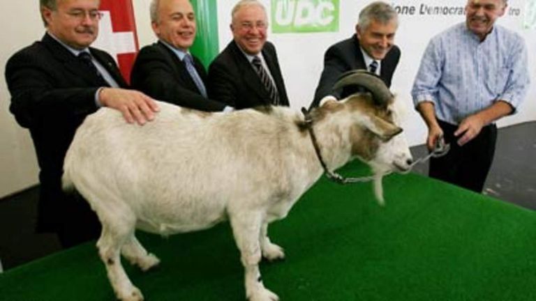 Far Right Party's 'Fascist Goat' Mascot Snatched | Scoop News | Sky News
