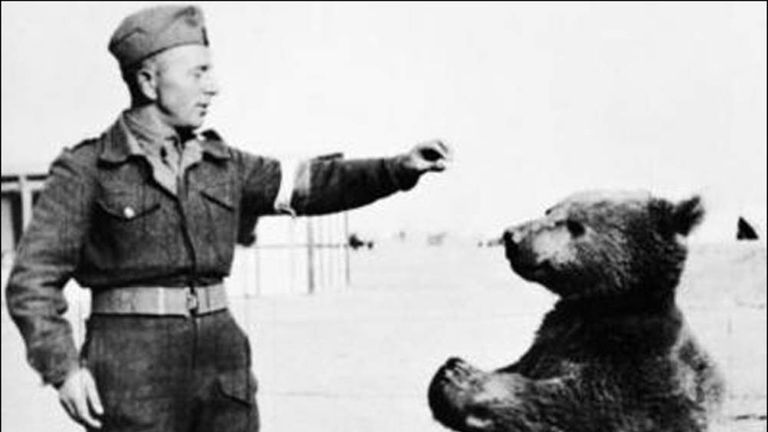 Hero Soldier Bear To Get Statue Honour | World News | Sky News