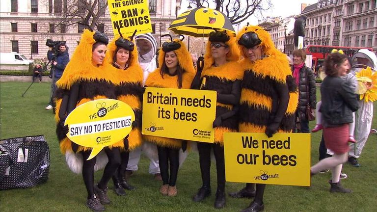 Bees: European Union Forces Pesticides Ban | Money News | Sky News