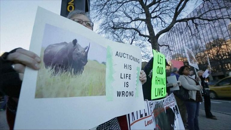 Black Rhino Hunt: Permit Sells For $350k | World News | Sky News
