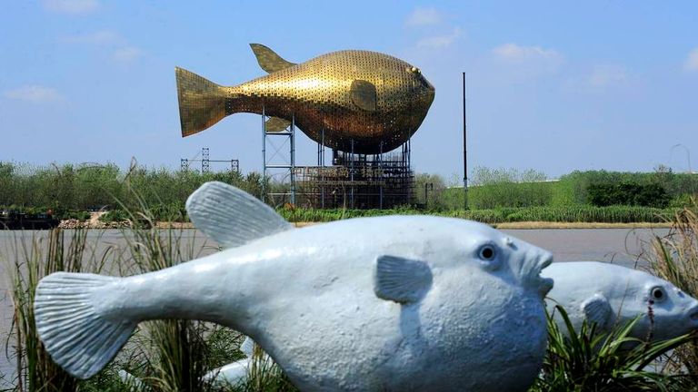 China Puffer Fish Tower Row Blows Up Online | World News | Sky News