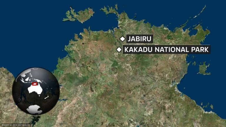 Crocodile Attacks Boy: 'Human Remains Found' | World News | Sky News