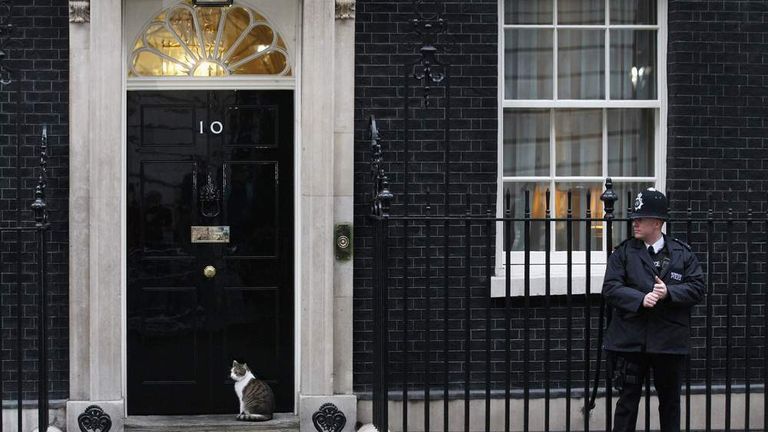 Larry The Cat Makes First Downing Street Kill | Politics News | Sky News