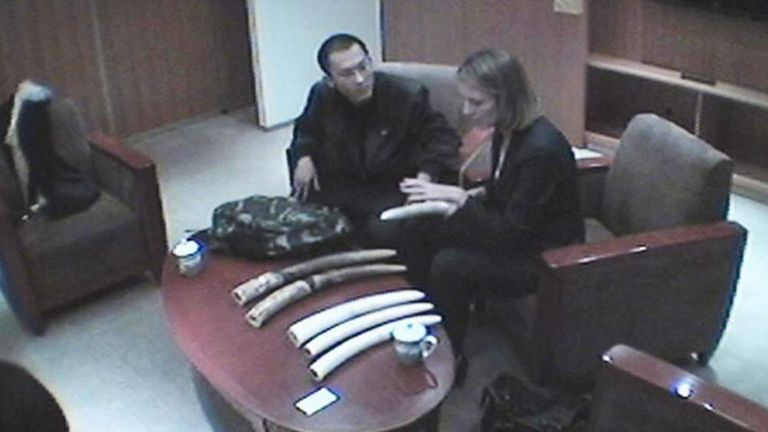 Major Surge In Ivory Smuggling In China | World News | Sky News