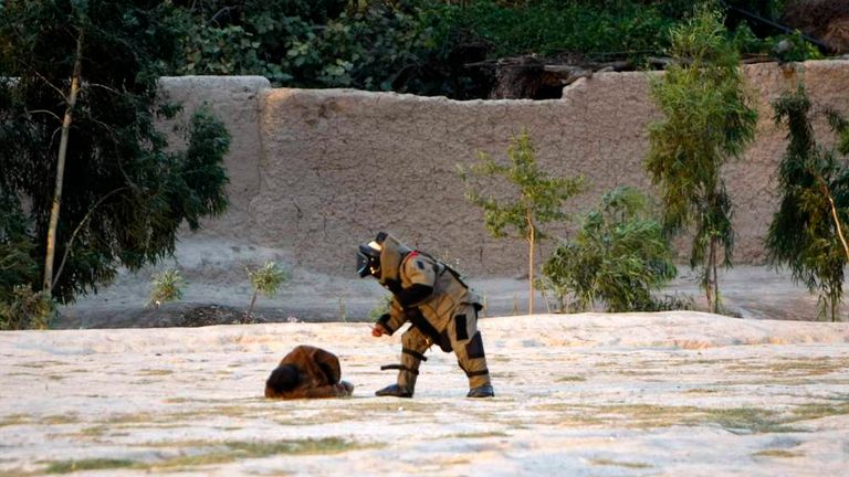 Hurt Locker: Afghan Soldier Stops Suicide Bomb | World News | Sky News