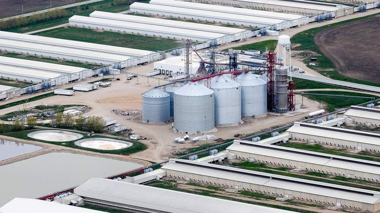 US Bird Flu: Iowa Declares State Of Emergency | US News | Sky News