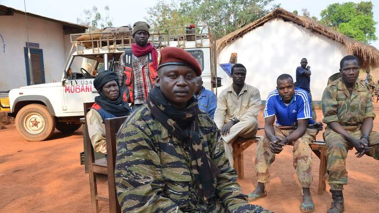 Central African Republic: Rebels Take Capital | World News | Sky News