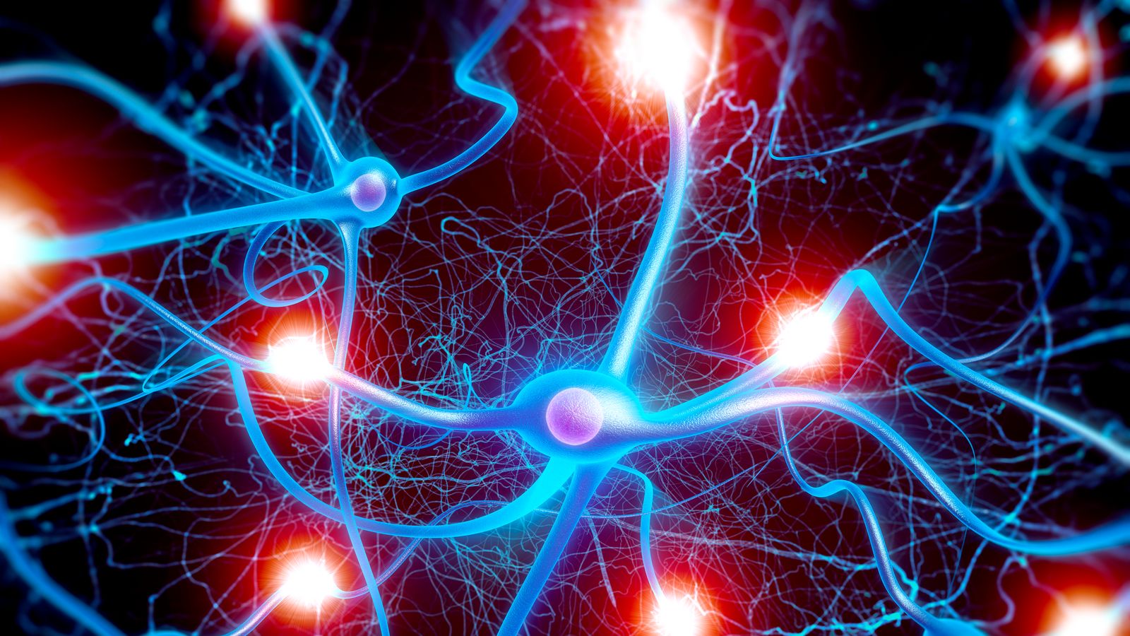 Japan's £139m computer will be fastest in world, making 130 quadrillion ...