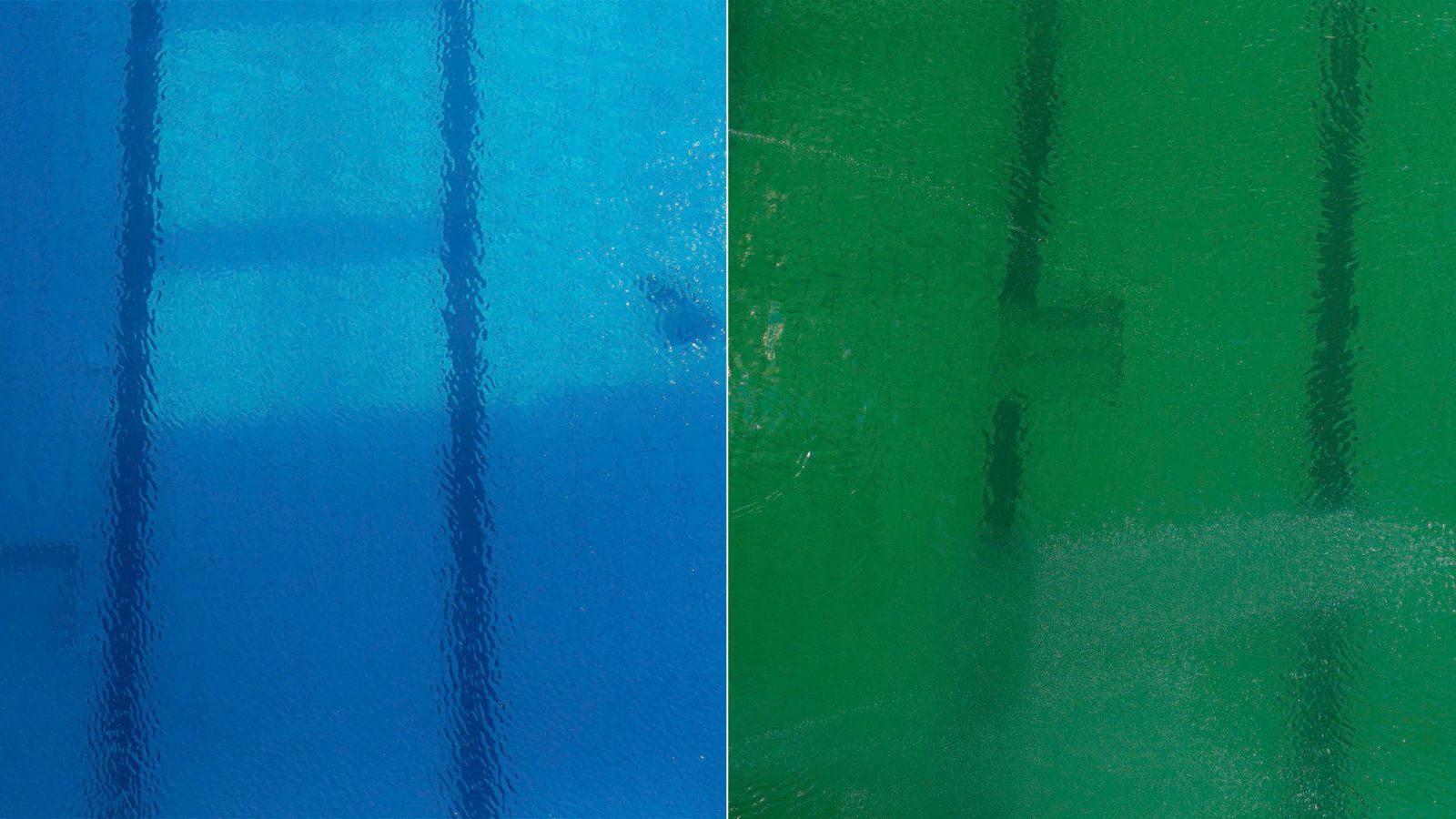 Tests As Olympic Diving Pool Turns Green | World News | Sky News