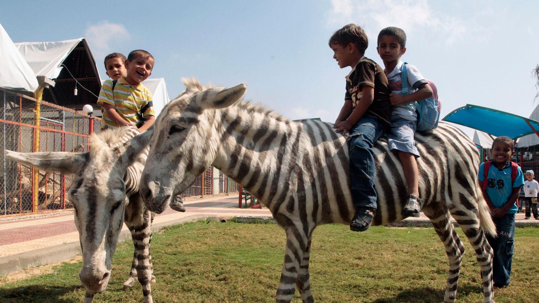 'Worst Zoo In The World' Closes In Gaza Strip As Animals Rescued ...