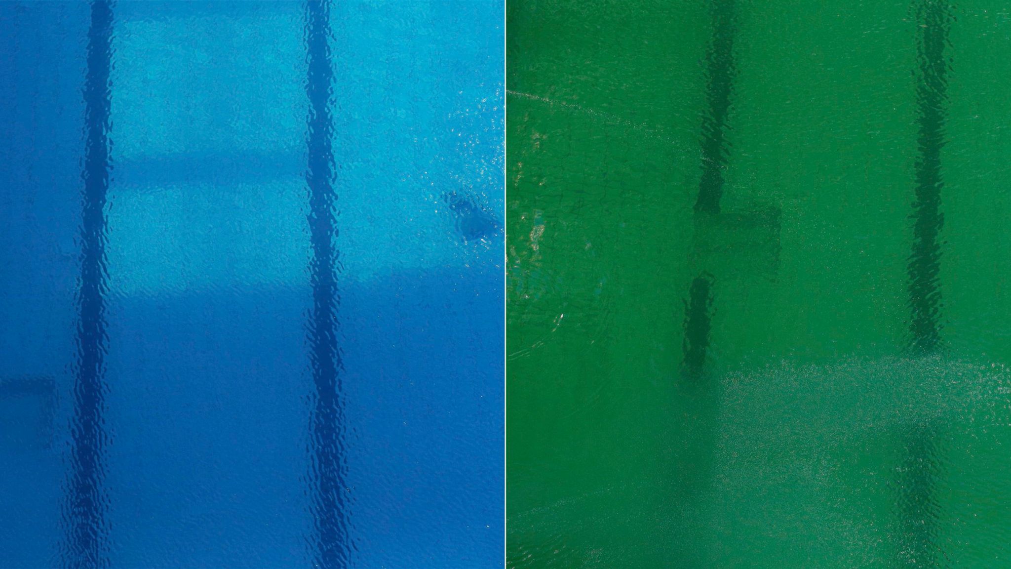 Olympic Diving Pool Turns Murky Green | World News | Sky News