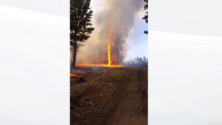 Footage Of 'Firenado' Phenomenon Captured During US Wildfires | World ...