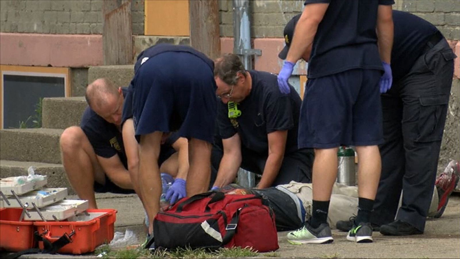 Elephant Tranquiliser Being 'Road Tested' By US Drug Dealers | World ...