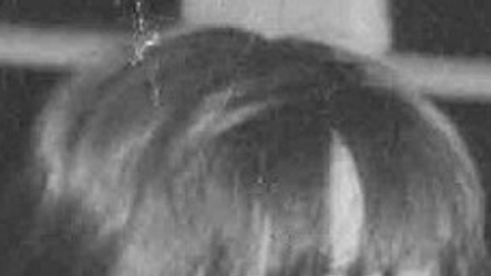 Man arrested over 1965 murder of schoolgirl Elsie Frost | UK News | Sky ...