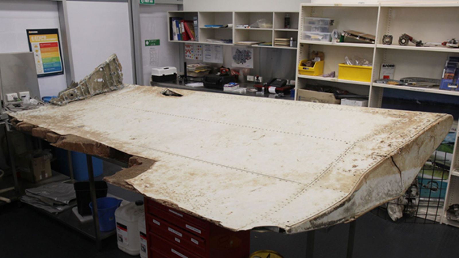 Downing of MH370 'almost certainly murder-suicide', says ex-Australian ...