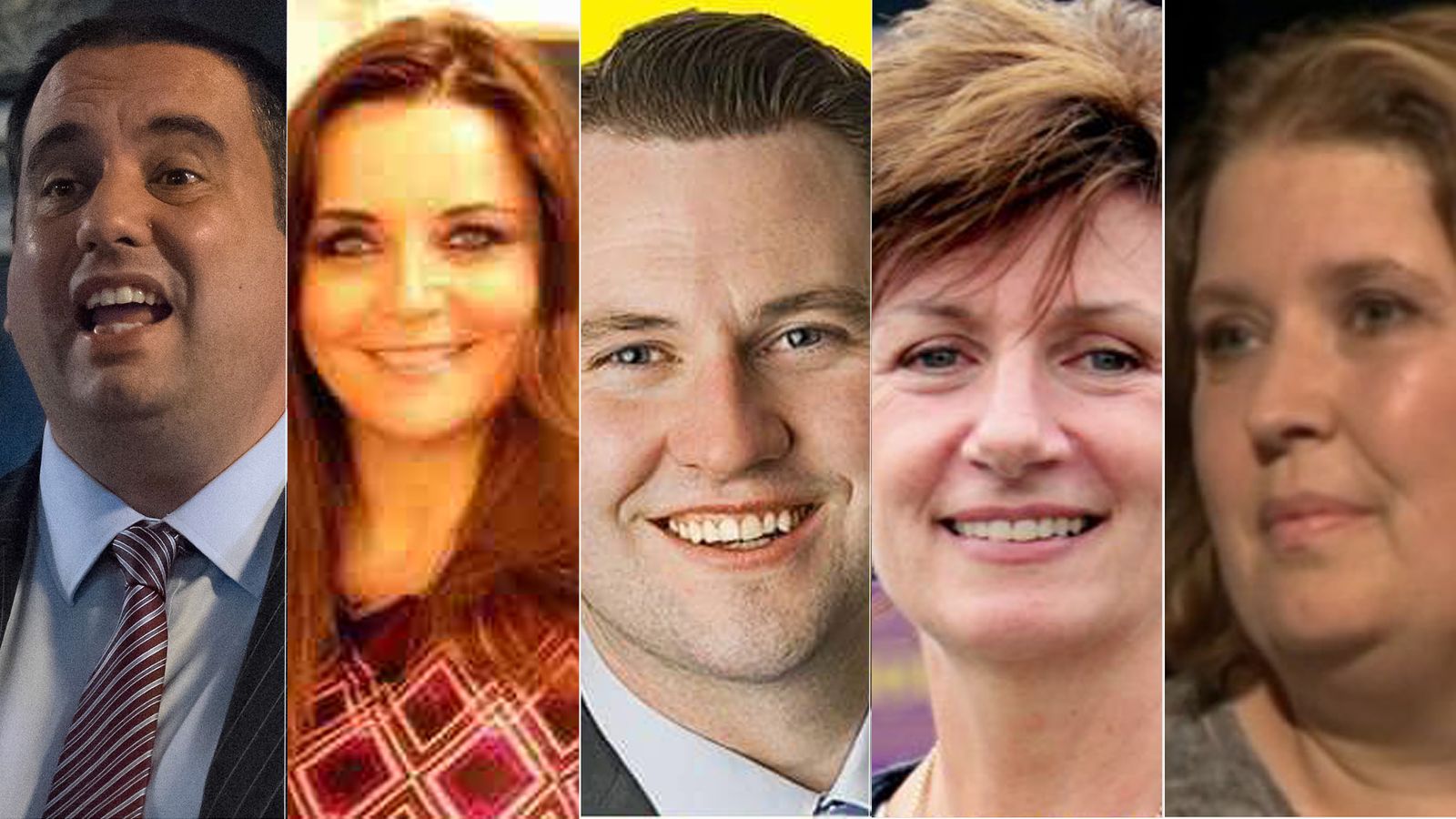 UKIP leadership contest: Who are the contenders? | Politics News | Sky News