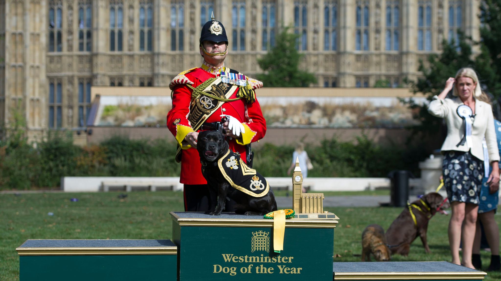 Westminster's Top Dogs Do Battle | Politics News | Sky News
