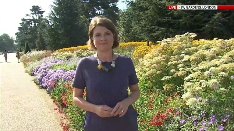 What are the effects of all this warm weather? | Scoop News | Sky News