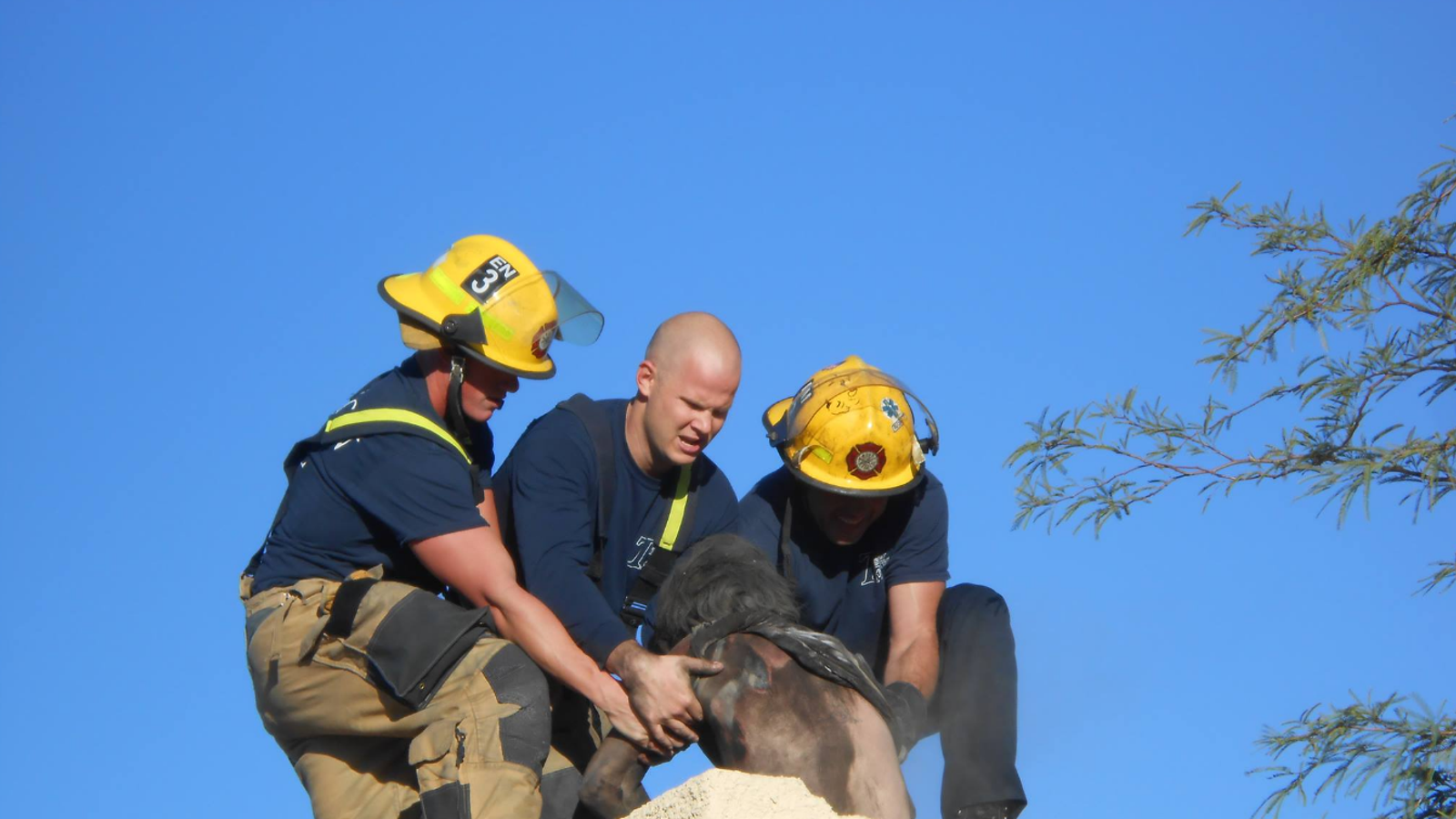 Soot-covered man rescued from chimney after losing his keys | World ...