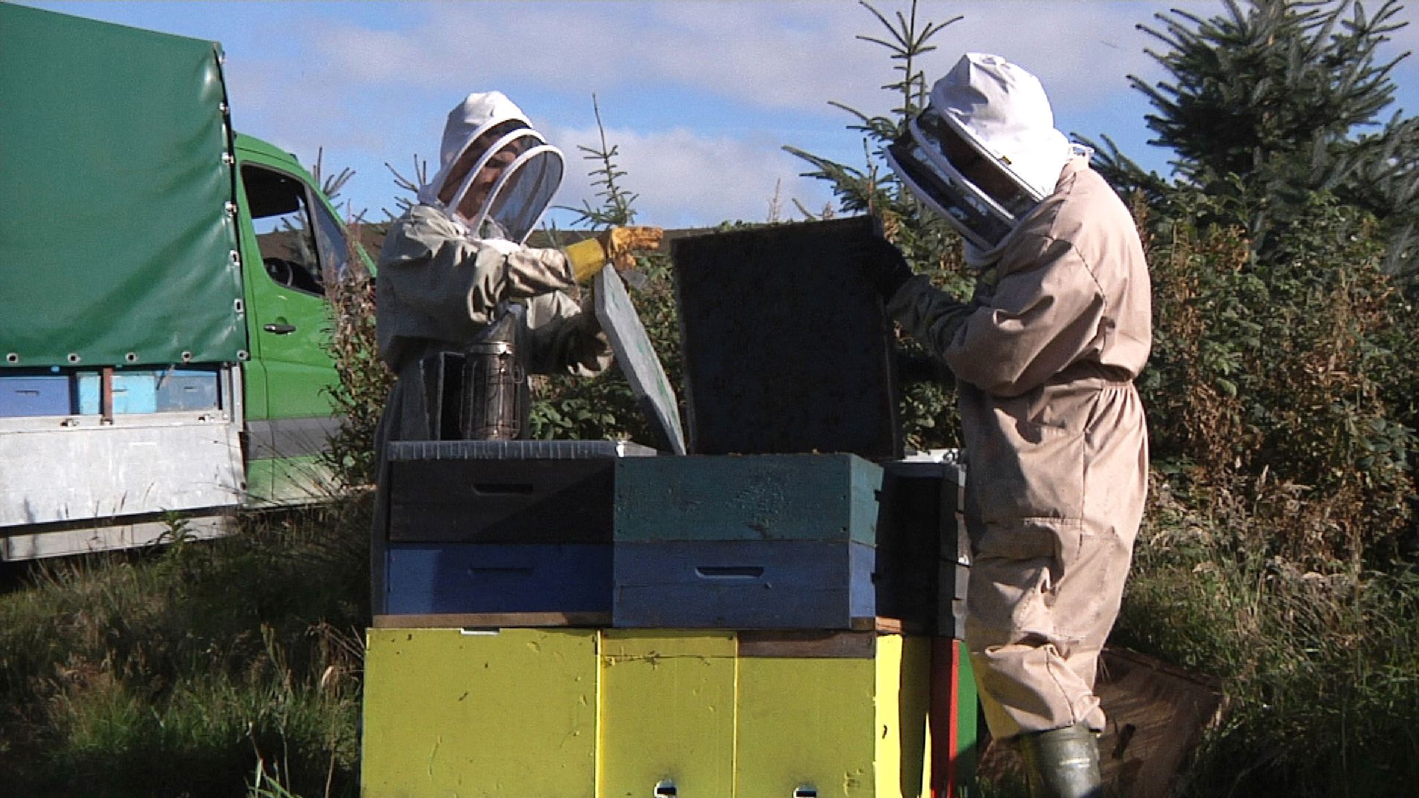 The new generation helping save British bees | UK News | Sky News