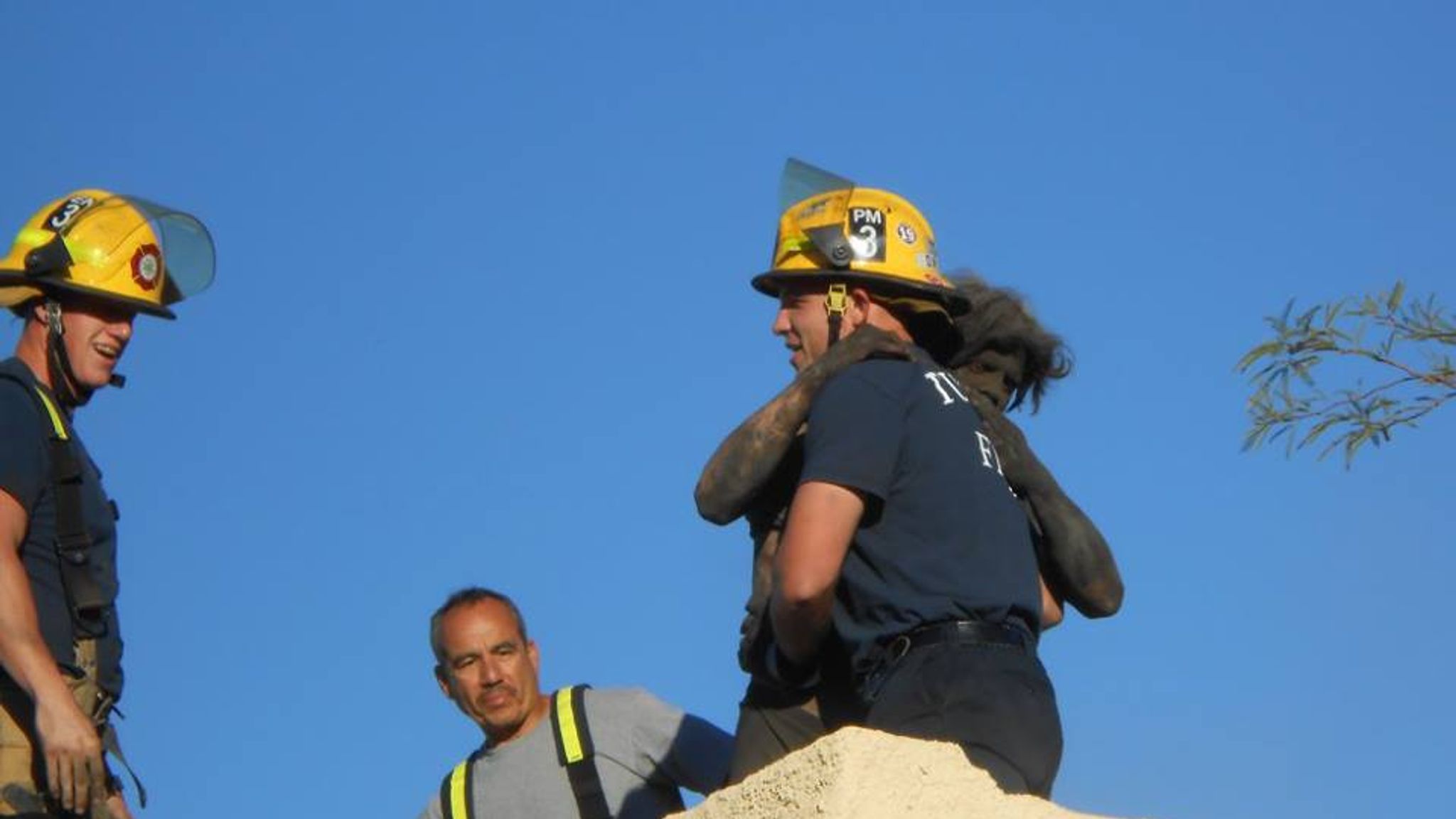 Soot-covered man rescued from chimney after losing his keys | World ...