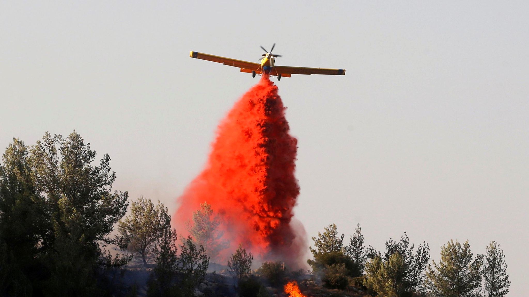 Arrests after massive wildfires in Israel branded 'arson terrorism ...