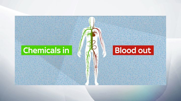 How cryonics works: Process of freezing bodies explained | Gadgets ...