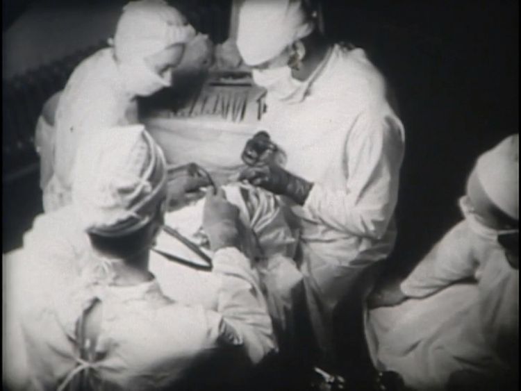 National monument to WW2 plastic surgery 'Guinea Pigs'