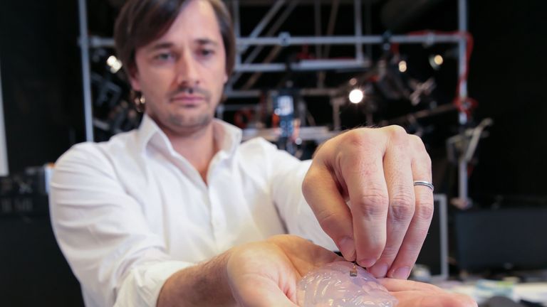 Brain chip implant helps paralysed monkeys to walk | Science, Climate ...