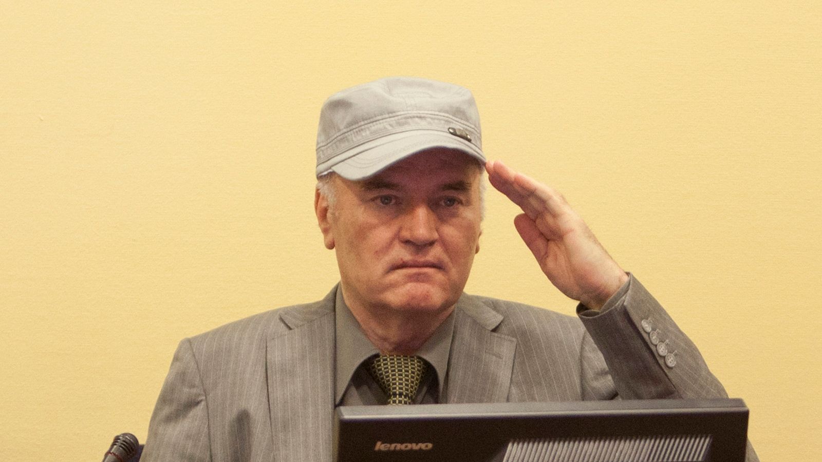 Bosnia war leader Ratko Mladic's genocide trial hears final arguments ...
