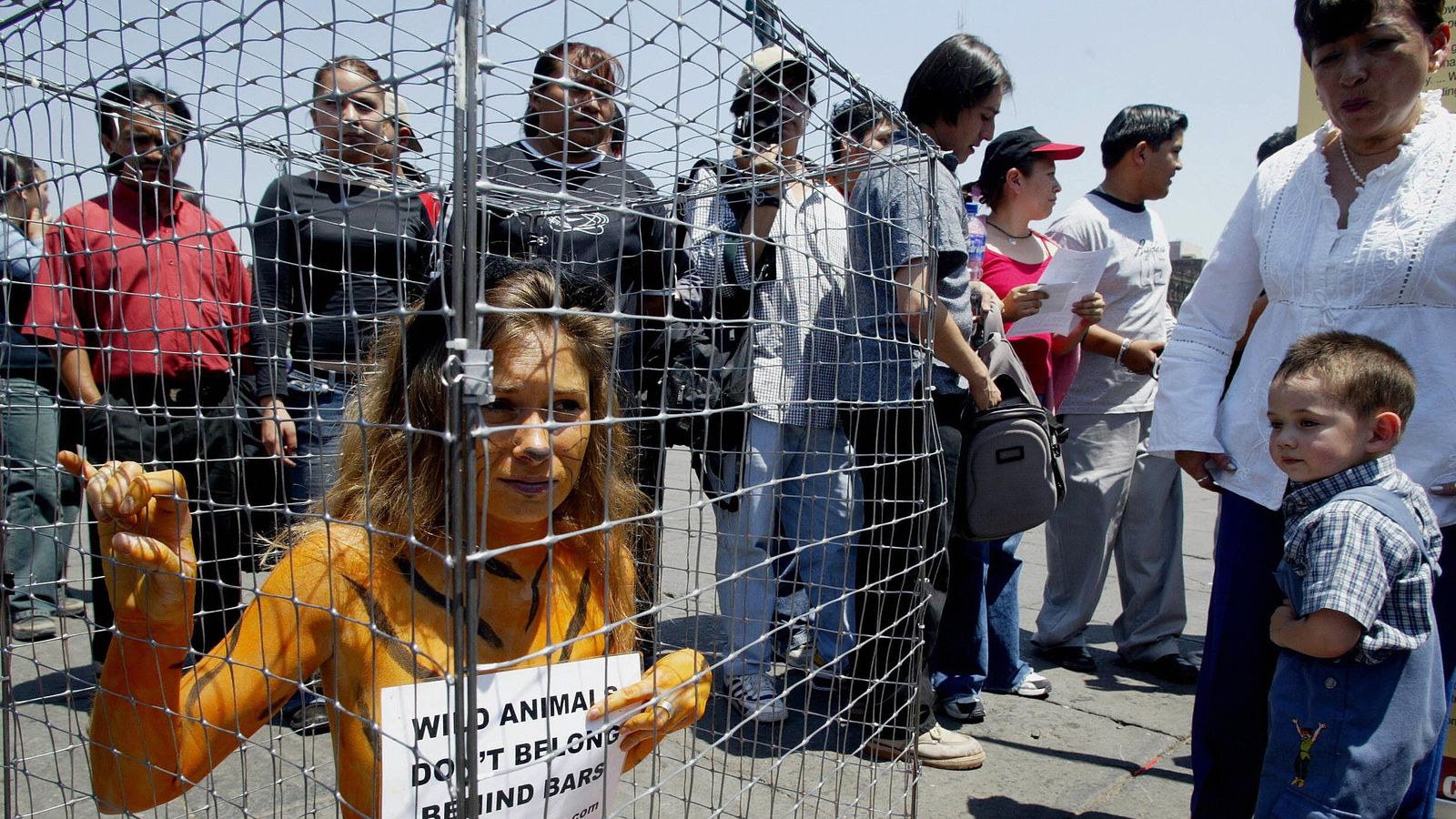 'Greatest Show On Earth' circus to close | Ents & Arts News | Sky News