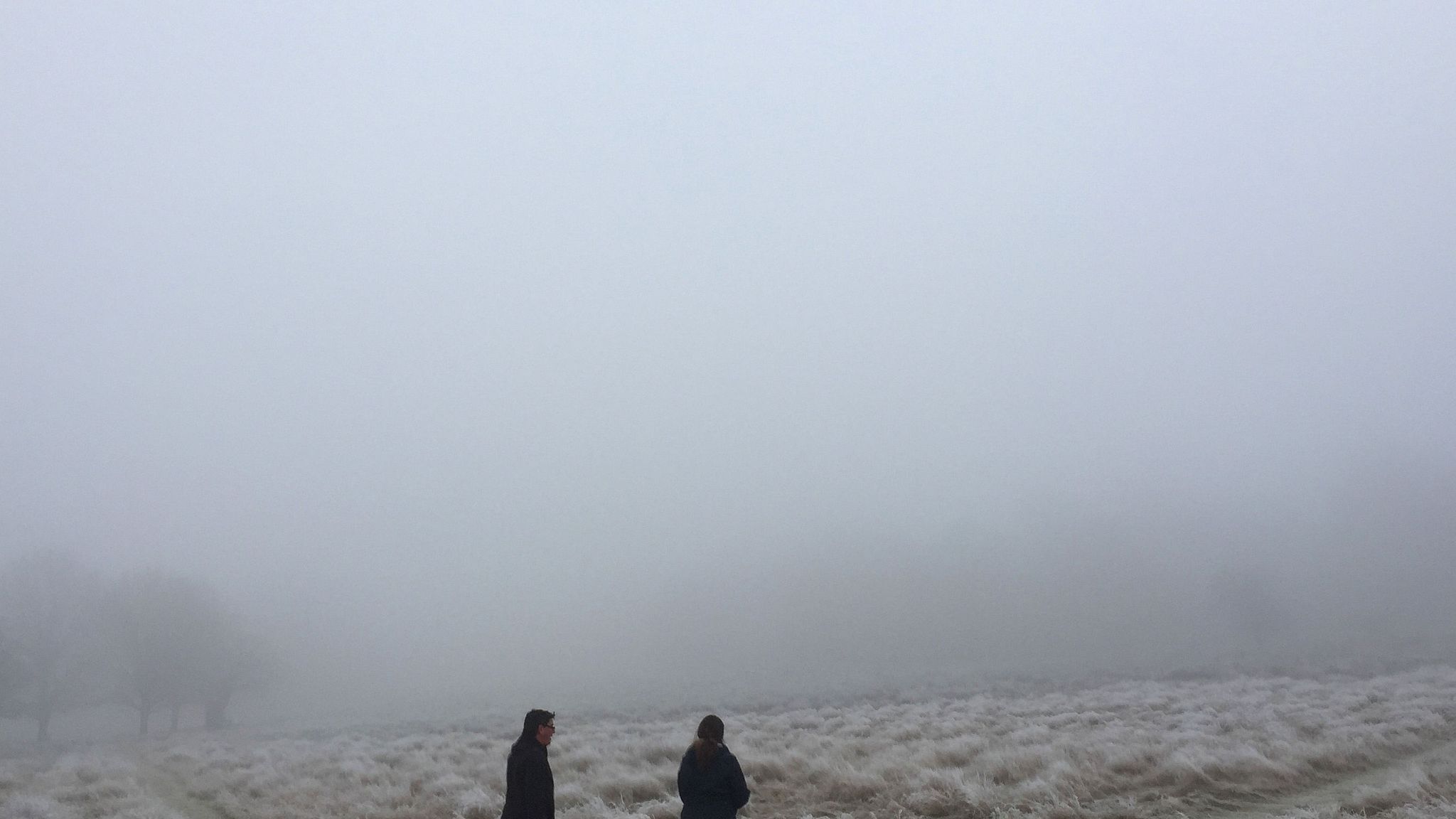 Freezing fog over London | UK News | Sky News