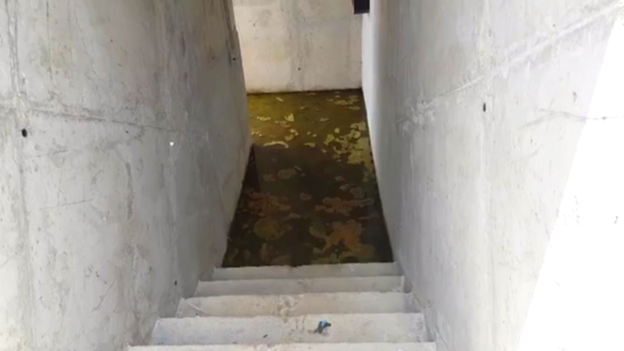 Abandoned Rio Olympic pool turns murky orange | World News | Sky News