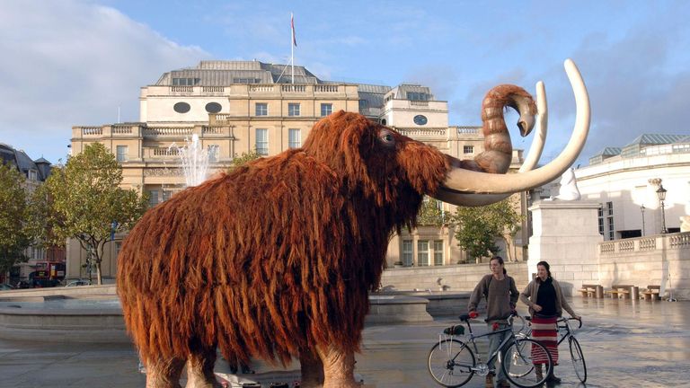 Woolly Mammoth Embryo Two Years Away Say Scientists Uk News Sky News