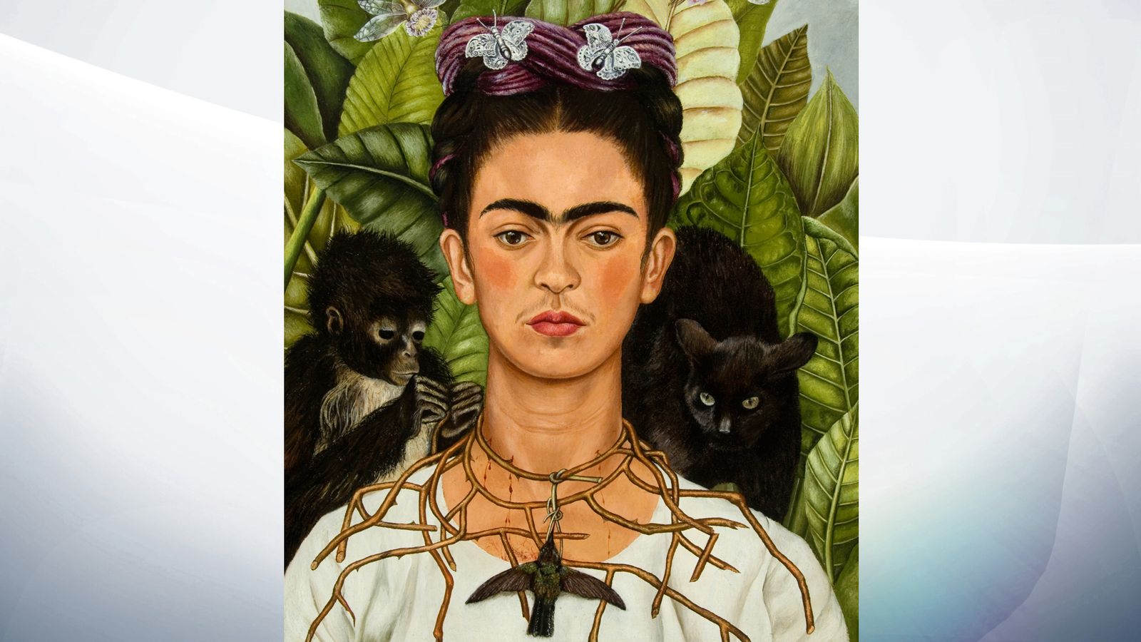 World's first 'Selfie' art exhibition unveiled | UK News | Sky News