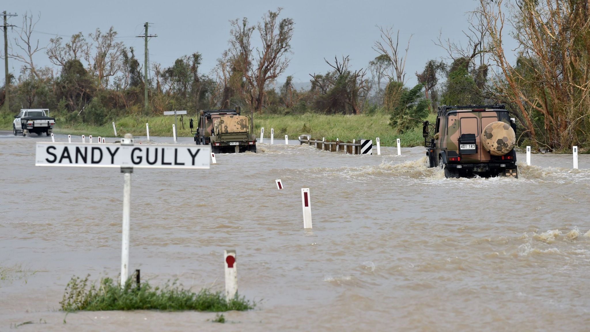 Cyclone Debbie dumps bull shark in middle of Queensland road | World ...