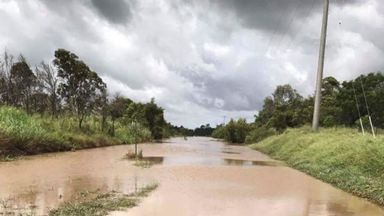 Cyclone Debbie dumps bull shark in middle of Queensland road | World ...