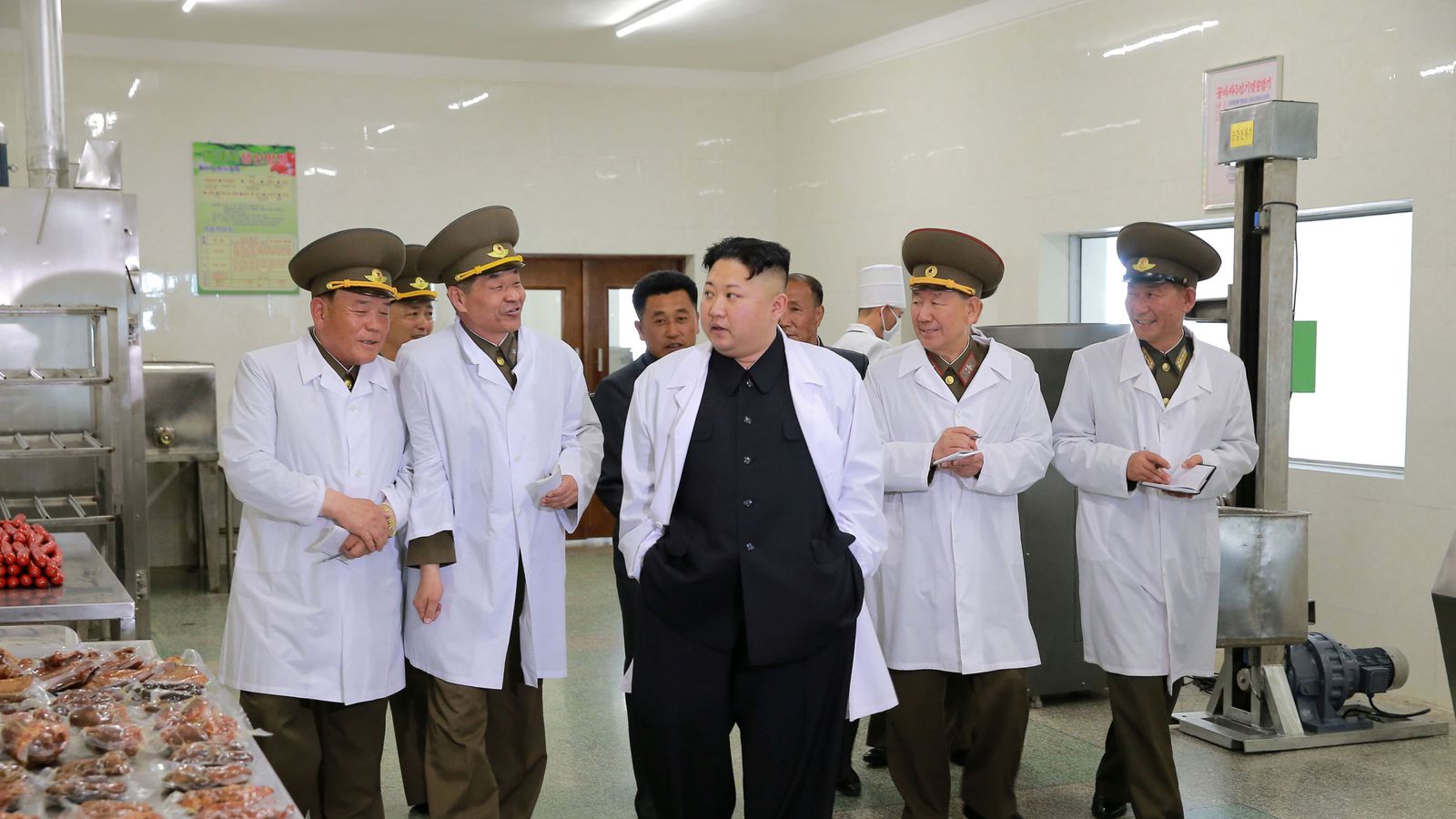 Kim Jong-Un inspects dead pigs on farm | World News | Sky News