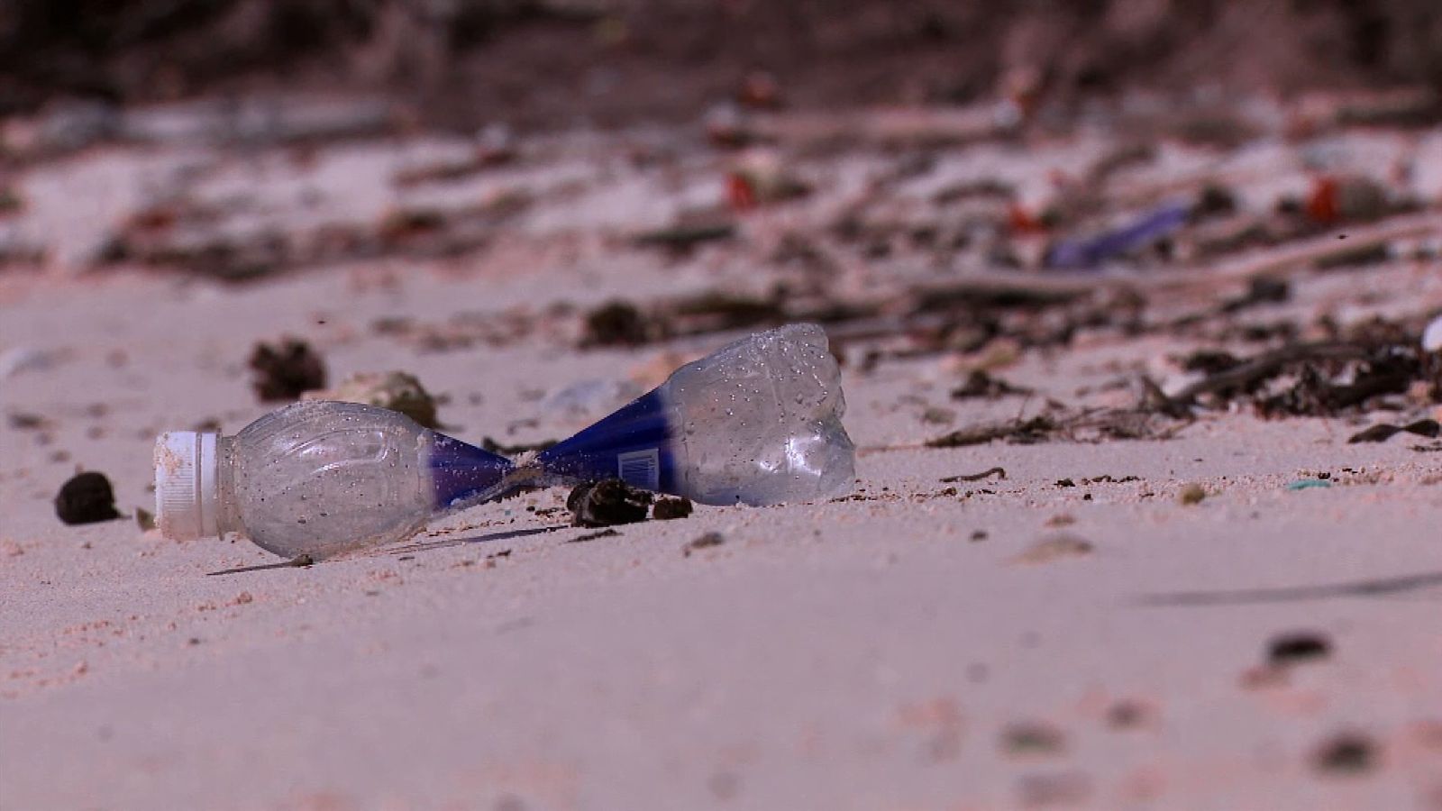 The palliative stage of the plastic problem | World News | Sky News