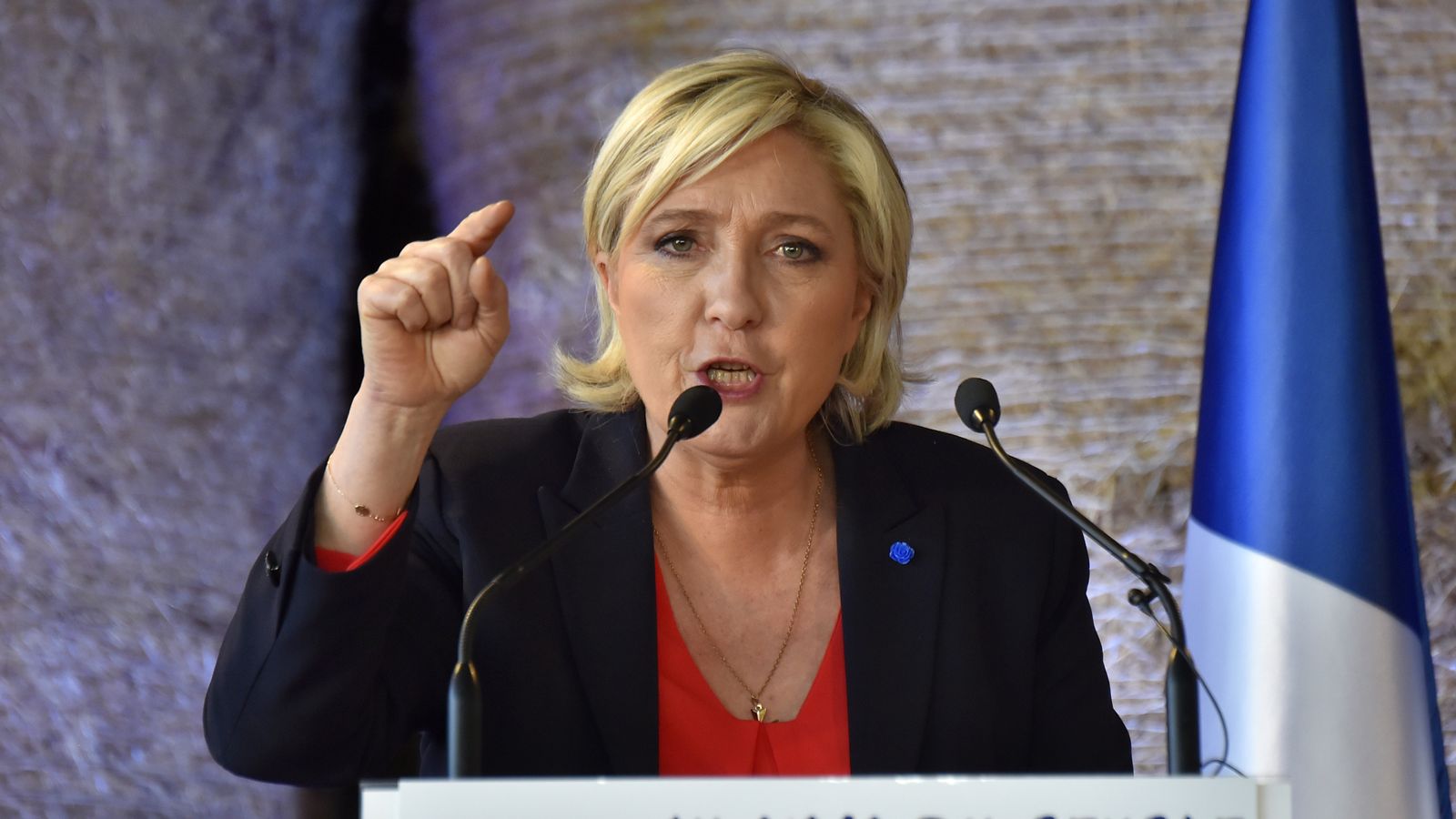 Israel slams Marine Le Pen over Vel d'Hiv roundup claim | World News ...